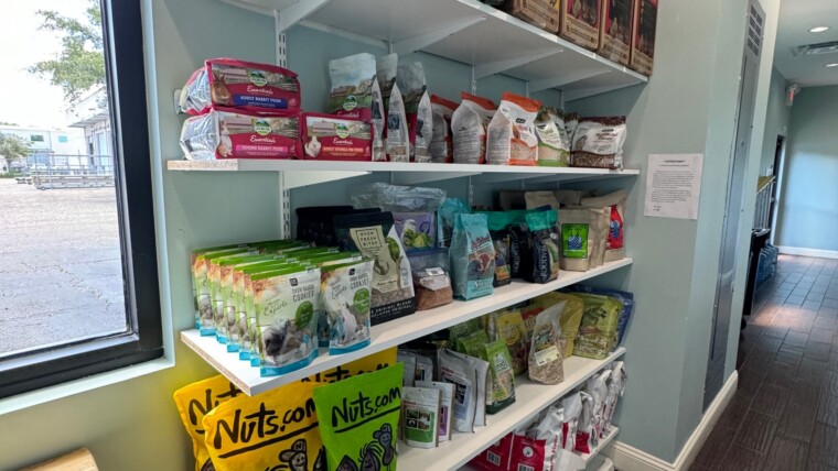 🌟 VMX 2026 🌟 – Exotic Bird Hospital Portal